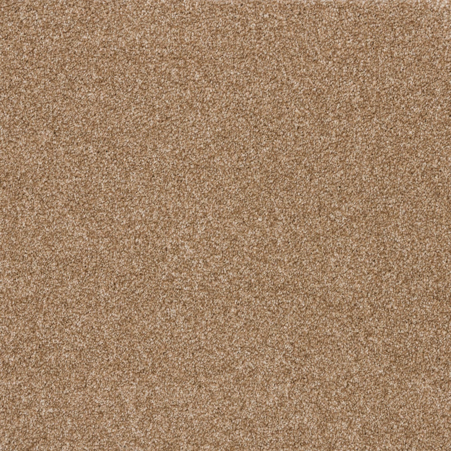 Home - Kidderminster Carpets