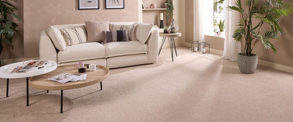 Abingdon Velvet Dreams - Kidderminster Carpets